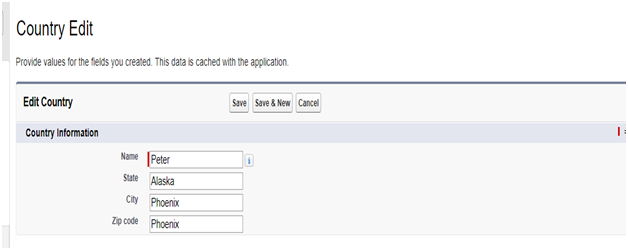 What Is Custom Setting In Salesforce List Of Custom Setting Methods In 0987