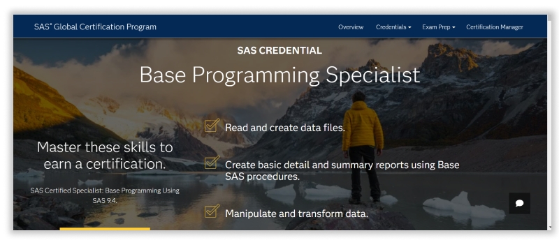 What Is the Data Analyst Job? Roles, Skills, and Salary For 2025