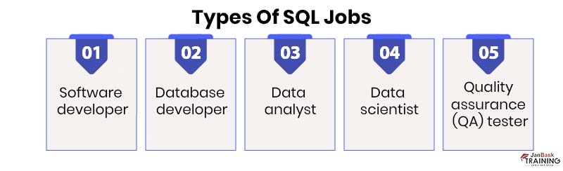 How to Learn SQL: A Beginner's Guide to Mastering SQL Basics