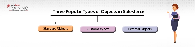 What Are Salesforce Objects Top 4 Salesforce Standard Objects