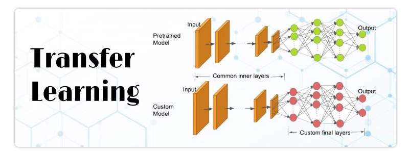 What Is Transfer Learning In Machine Learning?