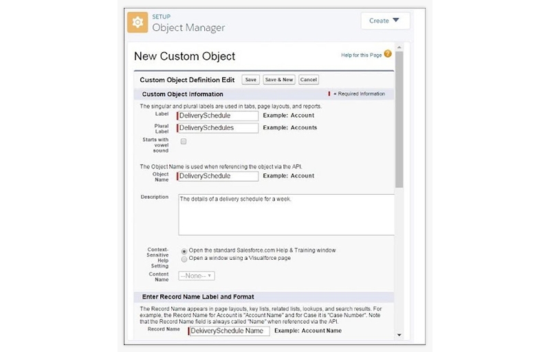 What are The Fundamental Distinctions Between Standard Objects and ...